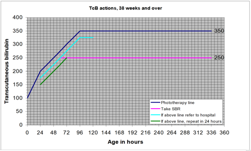 Transcutaneous bilirubinometry in the Community | NHSGGC